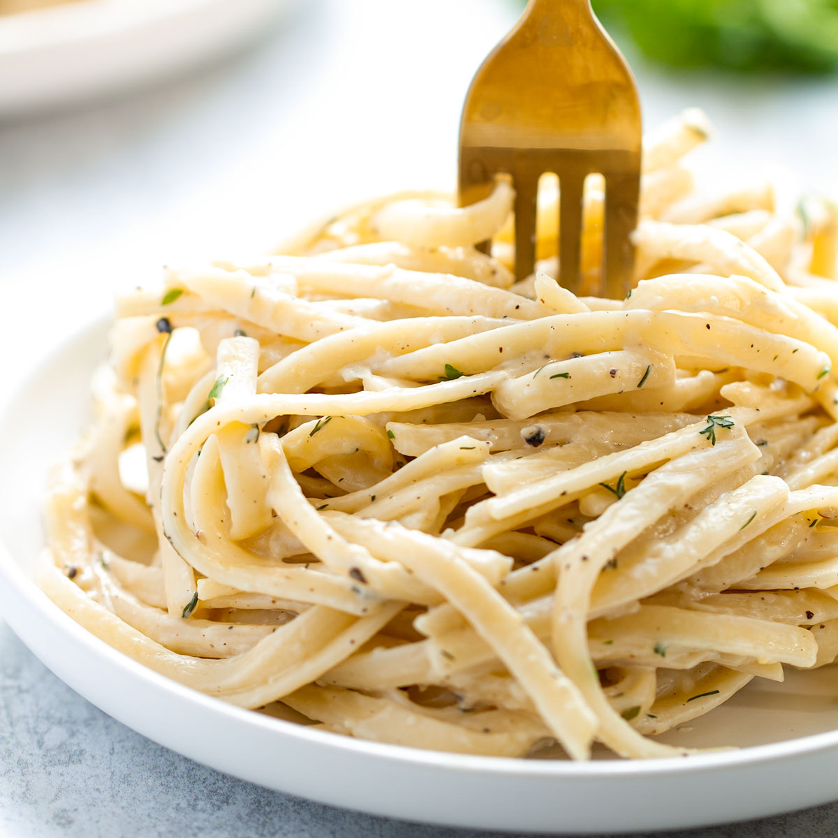 White Sauce Spaghetti Pasta Recipe