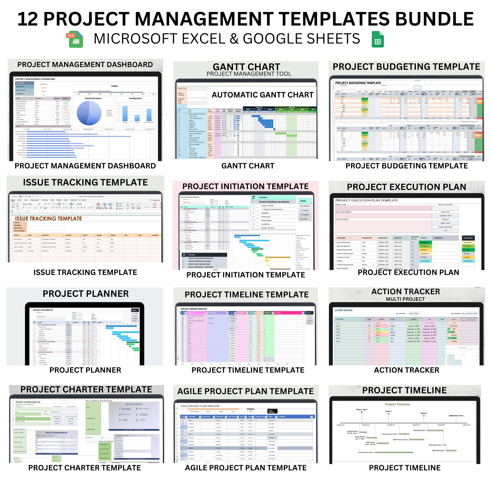 Project Management Issues List Template